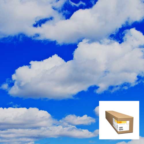 Kodak Matte Polypropylene Film | Water Resistant